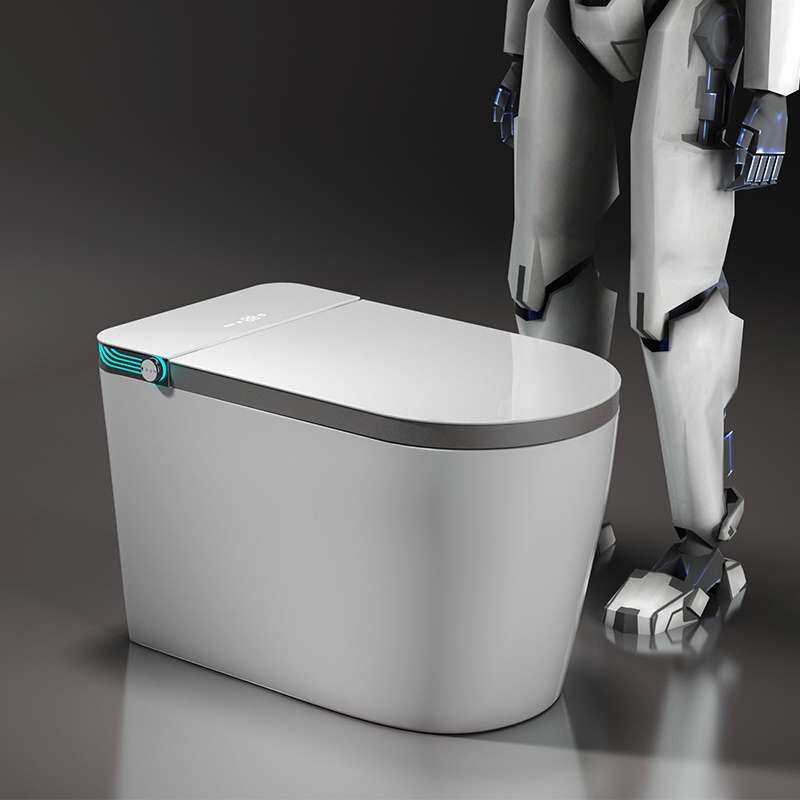 Elongated Smart Toilet With Remote Leton Wholesale